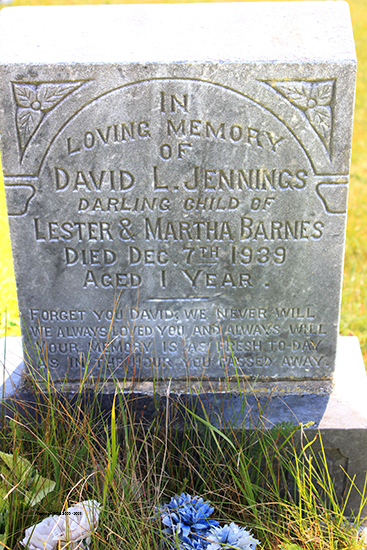 Hant's Harbour Old Salvation Army Cemetery - Trinity District